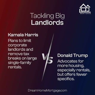 Understanding the Election Process: A Visual Guide | PDF