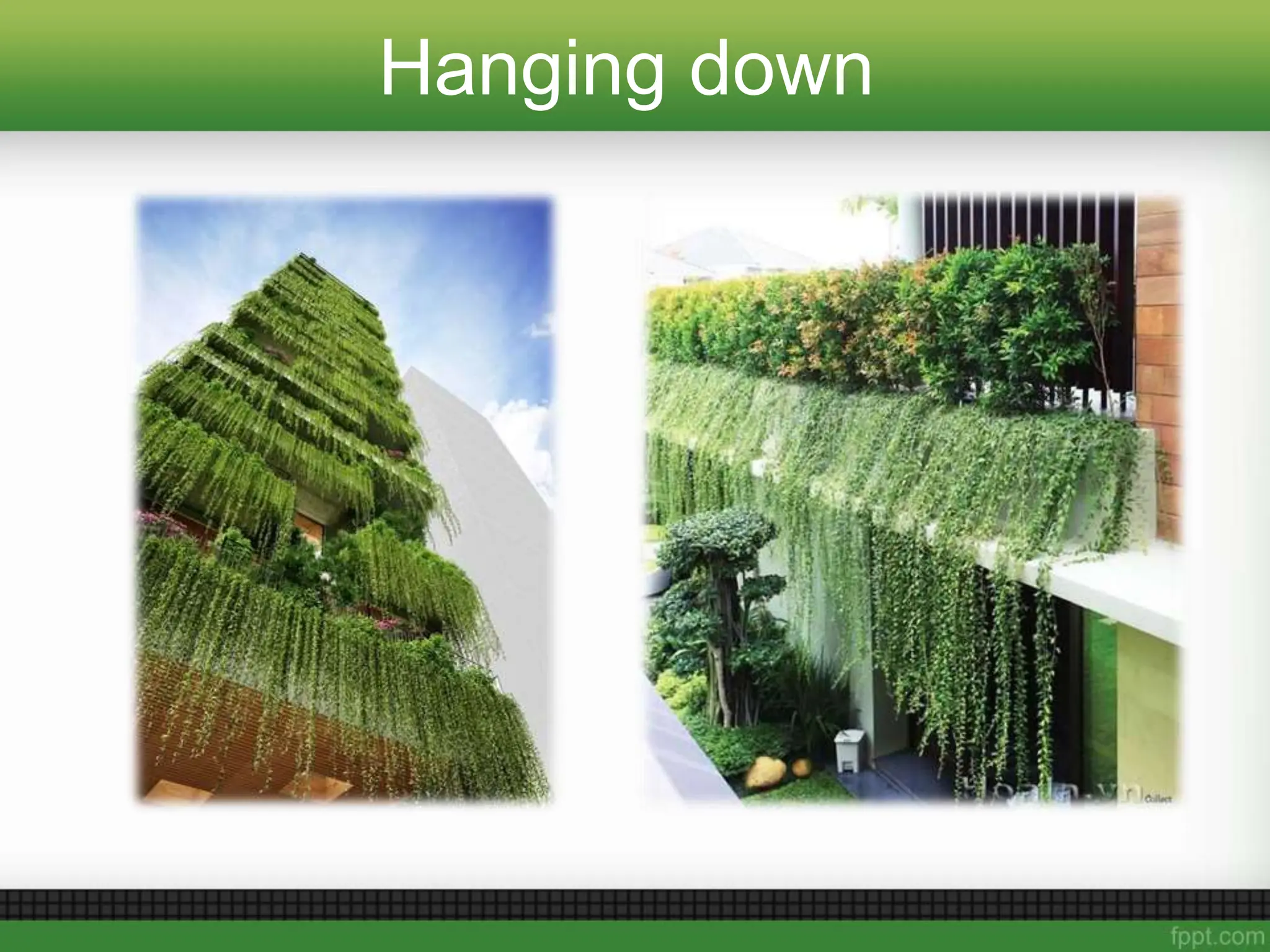 ELECTIVE-2-PRESENTATION power point presentation for green architecture ...