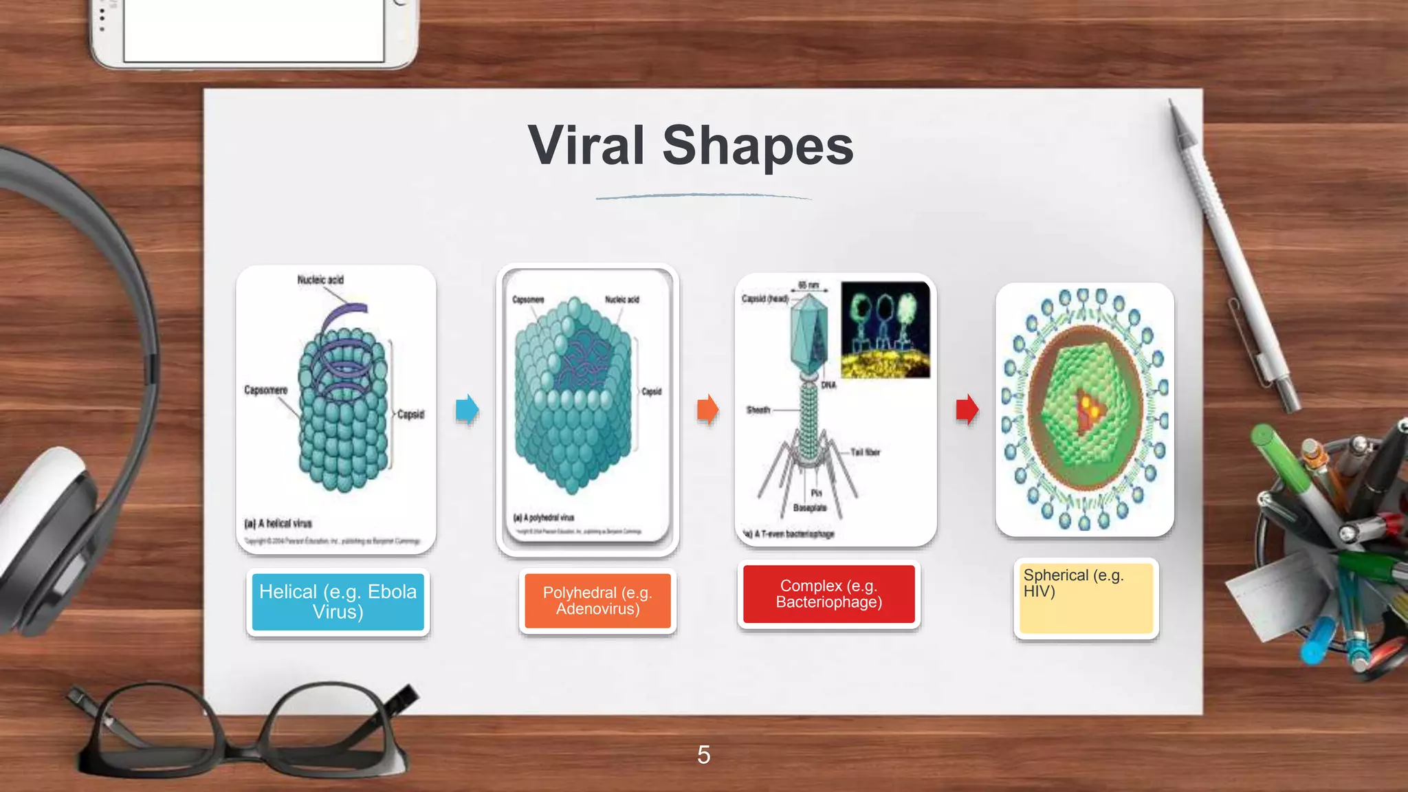 Facts about corona virus and basics of viruses | PPT