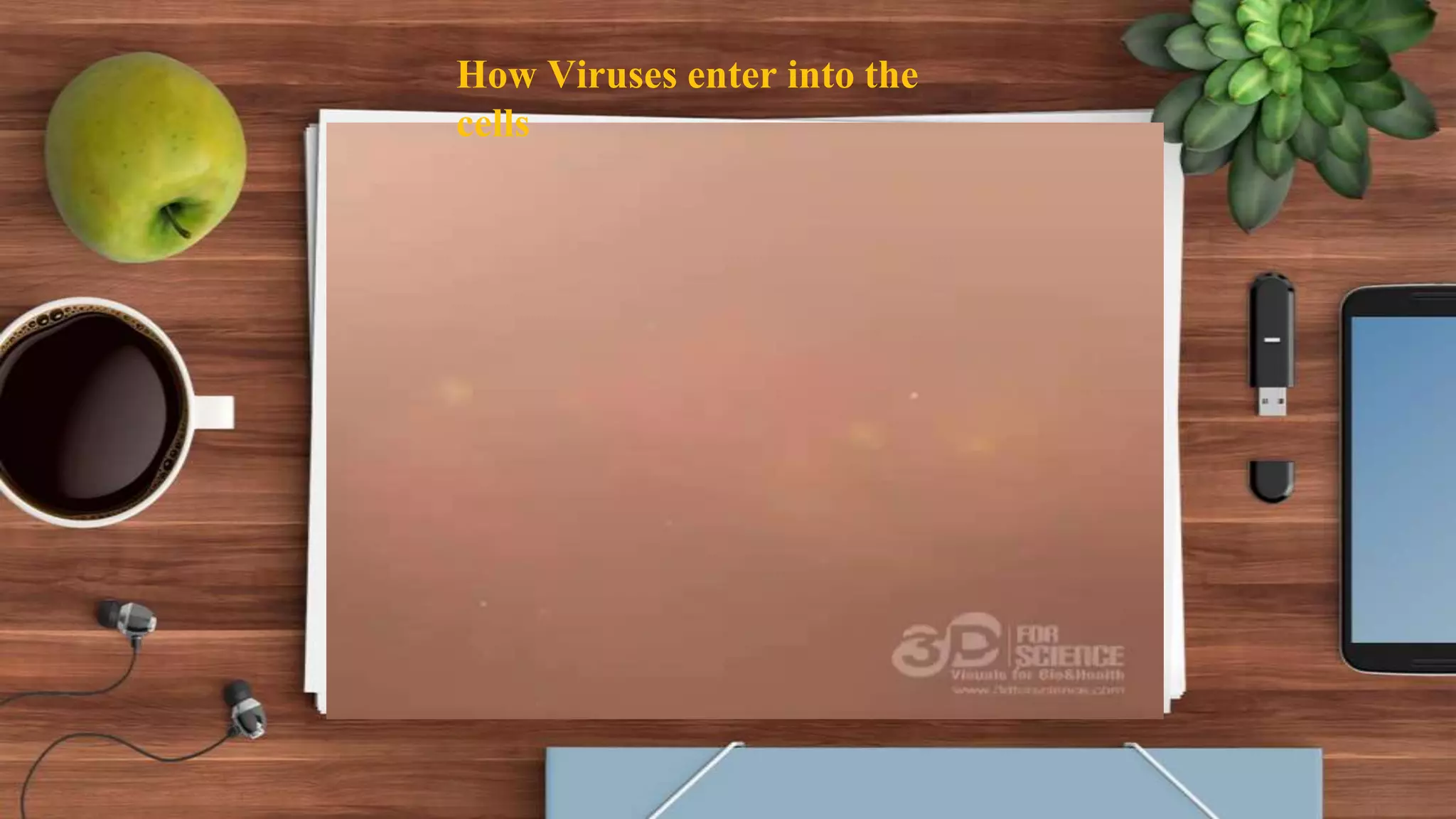 Facts about corona virus and basics of viruses | PPT