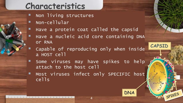 Facts about corona virus and basics of viruses | PPT