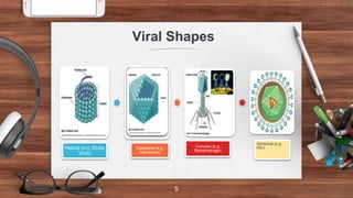 Facts about corona virus and basics of viruses | PPTX