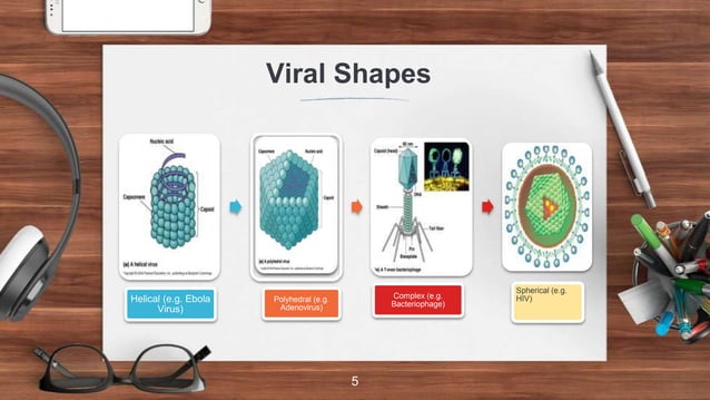 Facts about corona virus and basics of viruses | PPT