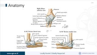 Elective Pediatrics - Pediatric Elbow Fractures_LIM (1).pptx