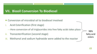 Pilot scale biodiesel production | PPT