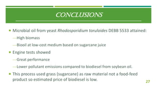 Pilot scale biodiesel production | PPT