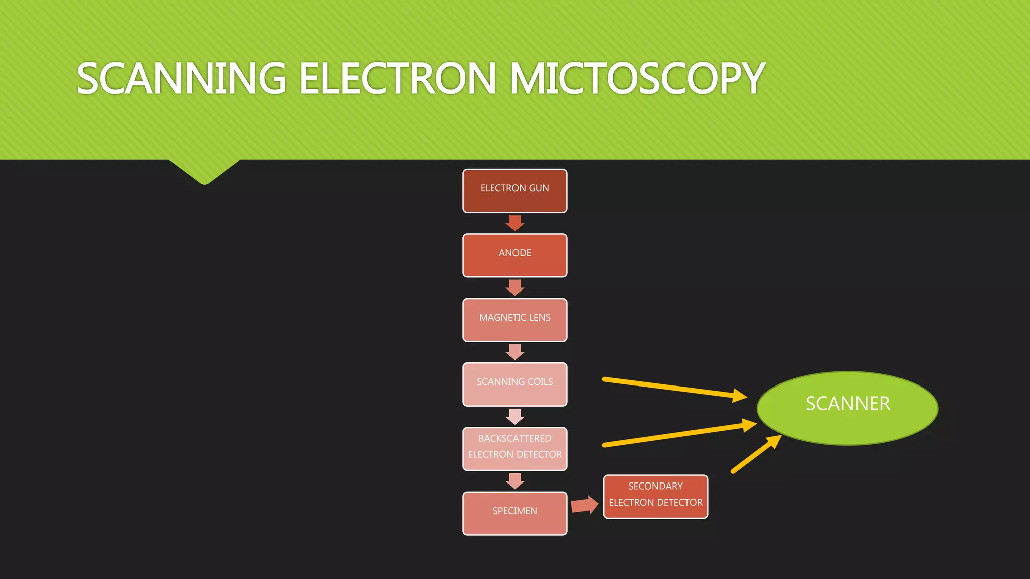 Electon microscopy | PPTX
