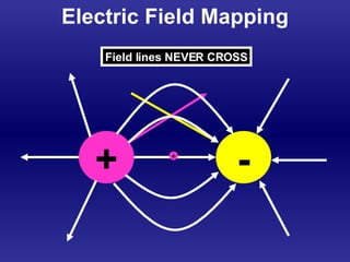 Electric Fields | PPT