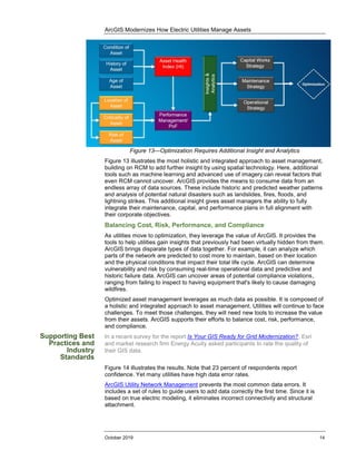 Electric-utility-asset-management_white paper.pdf