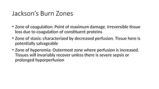 ELECTRICAL BURNS - PLASTIC SURGERY PRESENTATION | PPT