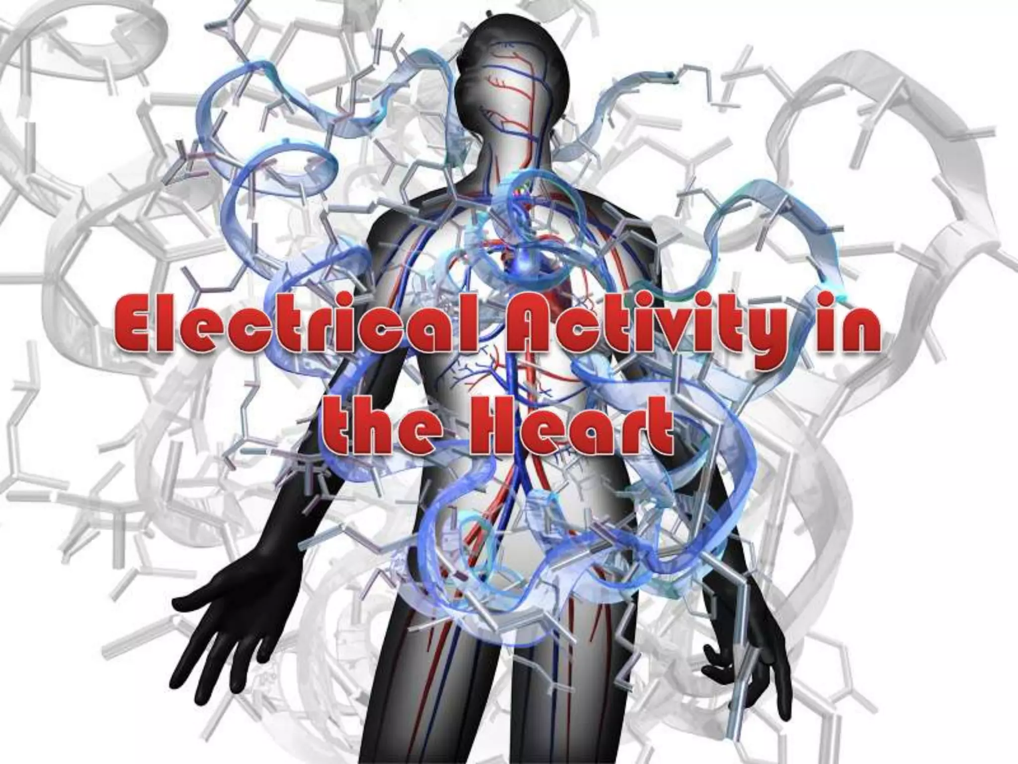 Electrical activity in the heart | PPT