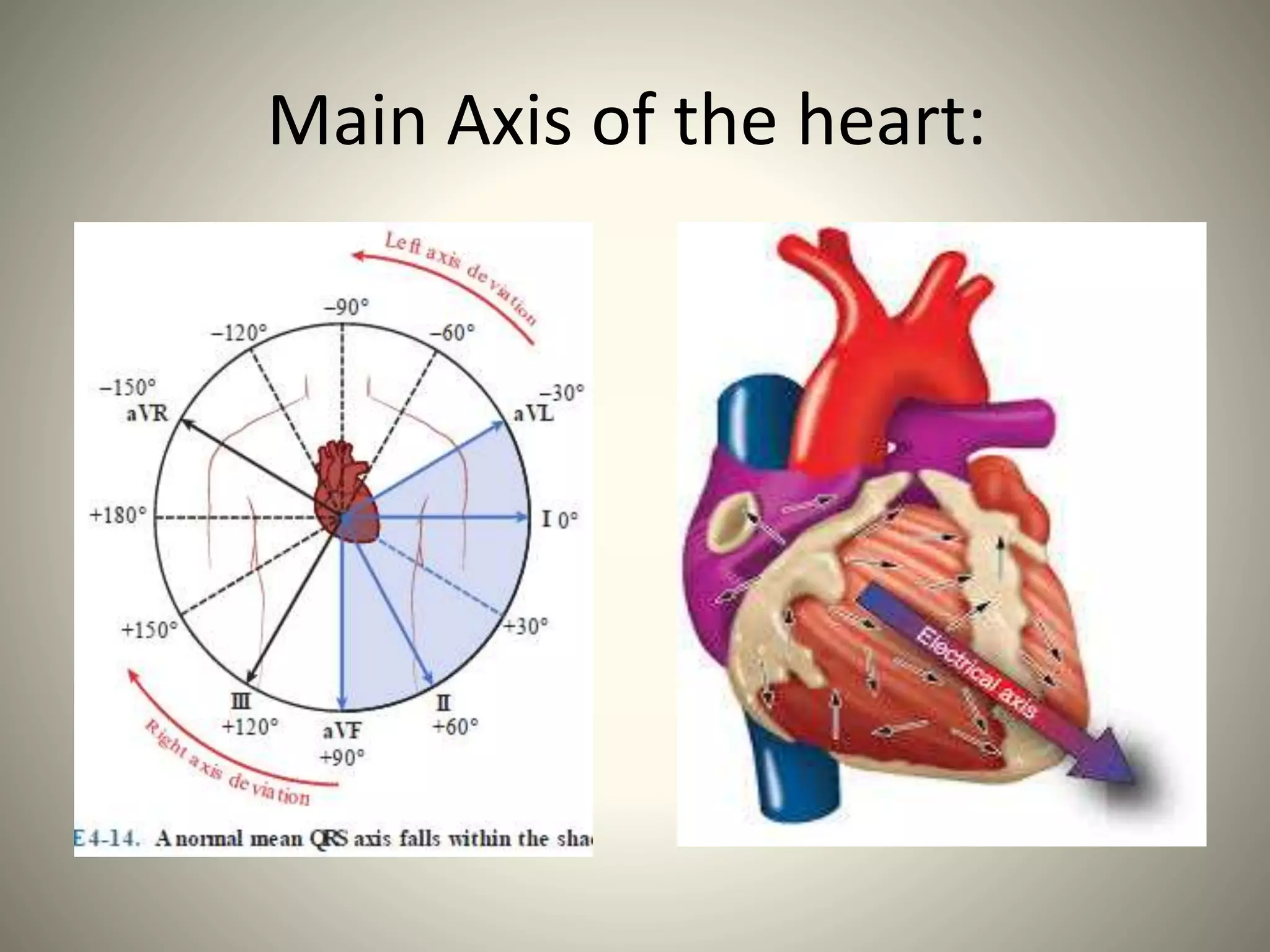 Electrical activity of heart | PPTX