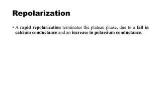 Electrical activity of heart | PPT