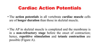 Electrical activity of heart | PPTX