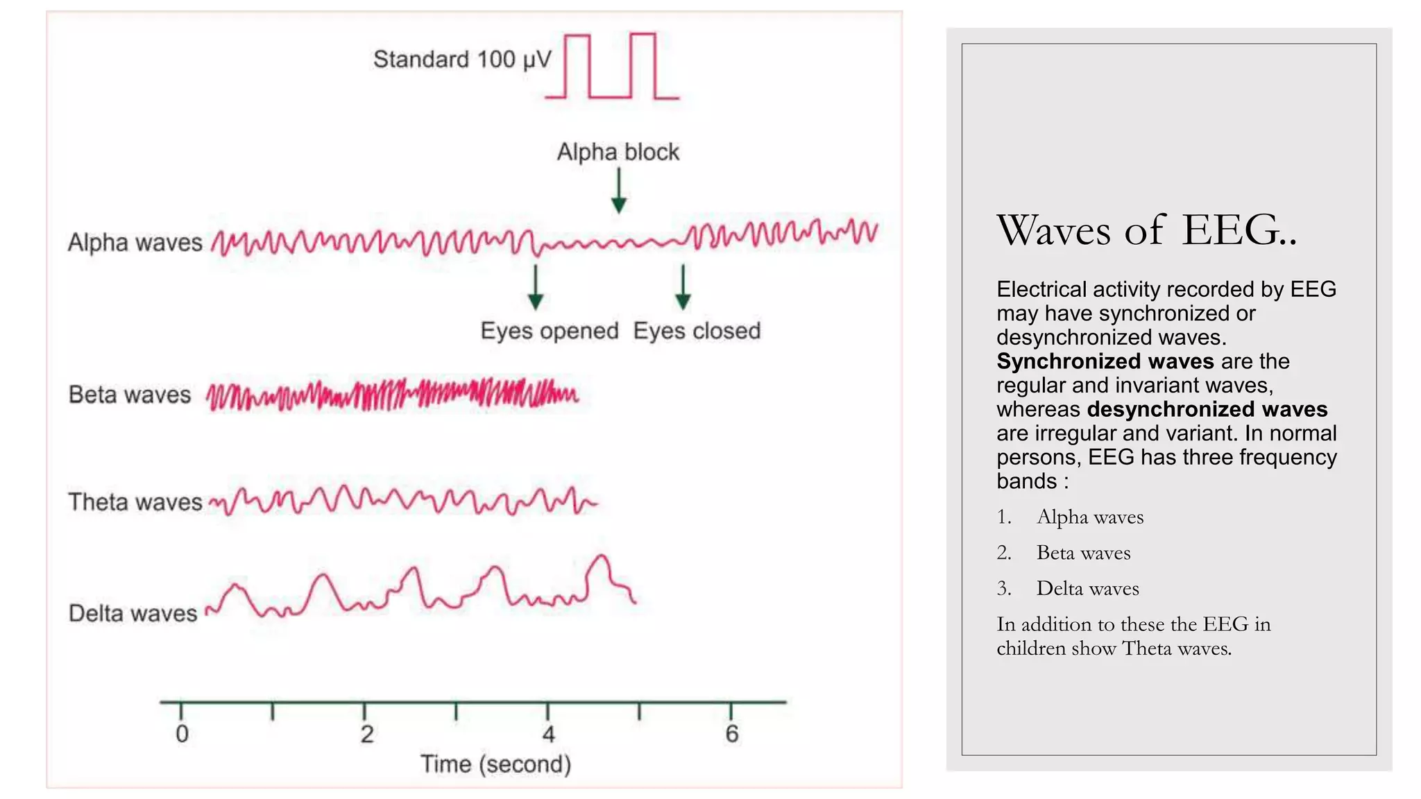Electrical activity of the brain | PPTX