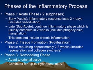 Electrical Agents | PPT