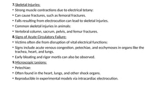 ELECTRICAL_AND_LIGHTNING[1] .6576875876587 | PPT