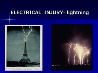 Electrical Campaign Presentation | PDF
