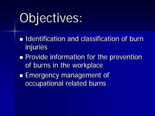 Electrical Campaign Presentation | PDF