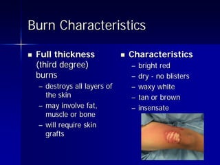 Electrical Campaign Presentation | PDF