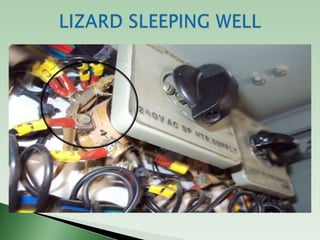 Electrical case study | PPTX