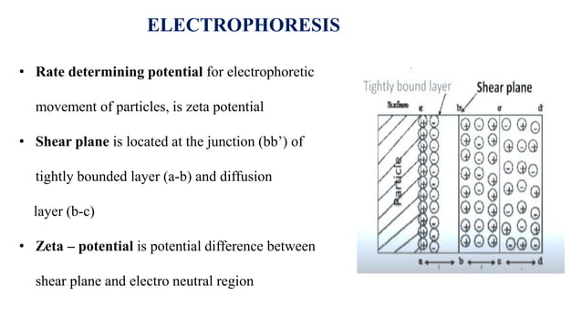 ELECTROCHEMISTRY - ELECTRICAL DOUBLE LAYER | PPTX | Chemistry | Science