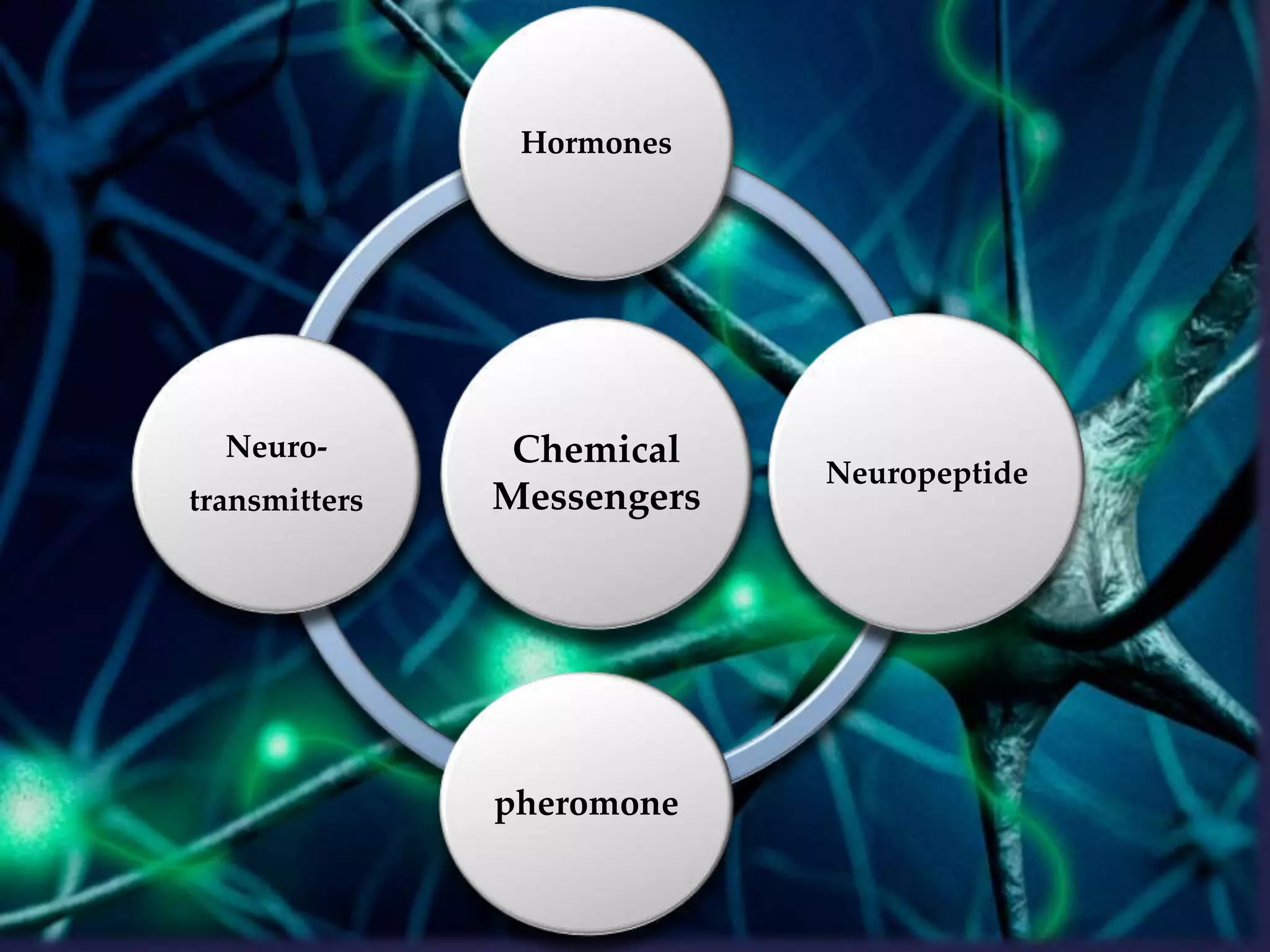 Electrical excitability of Neurons and Chemical Messengers | PPTX