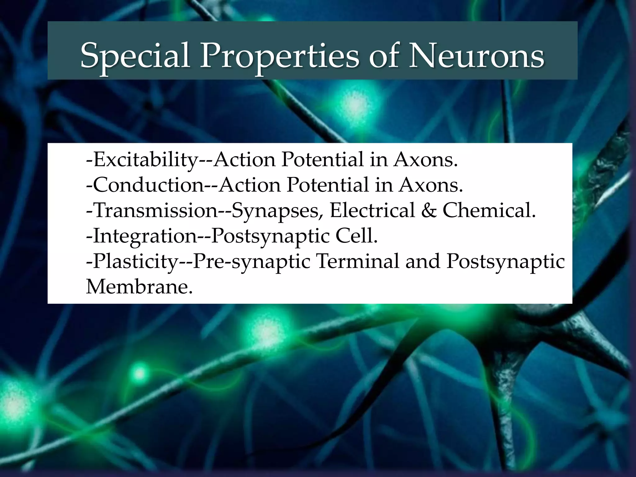 Electrical excitability of Neurons and Chemical Messengers | PPTX