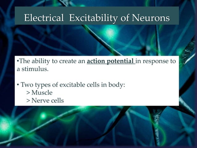 Electrical excitability of Neurons and Chemical Messengers | PPT