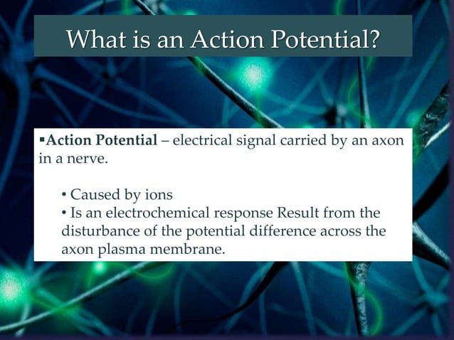 Electrical excitability of Neurons and Chemical Messengers | PPT