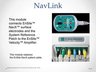 Electrical mapping of the heart | PPTX | Heart and Cardiovascular ...