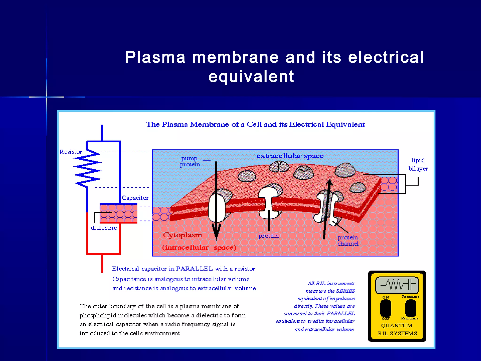 Electrical properies of the tissues | PPT