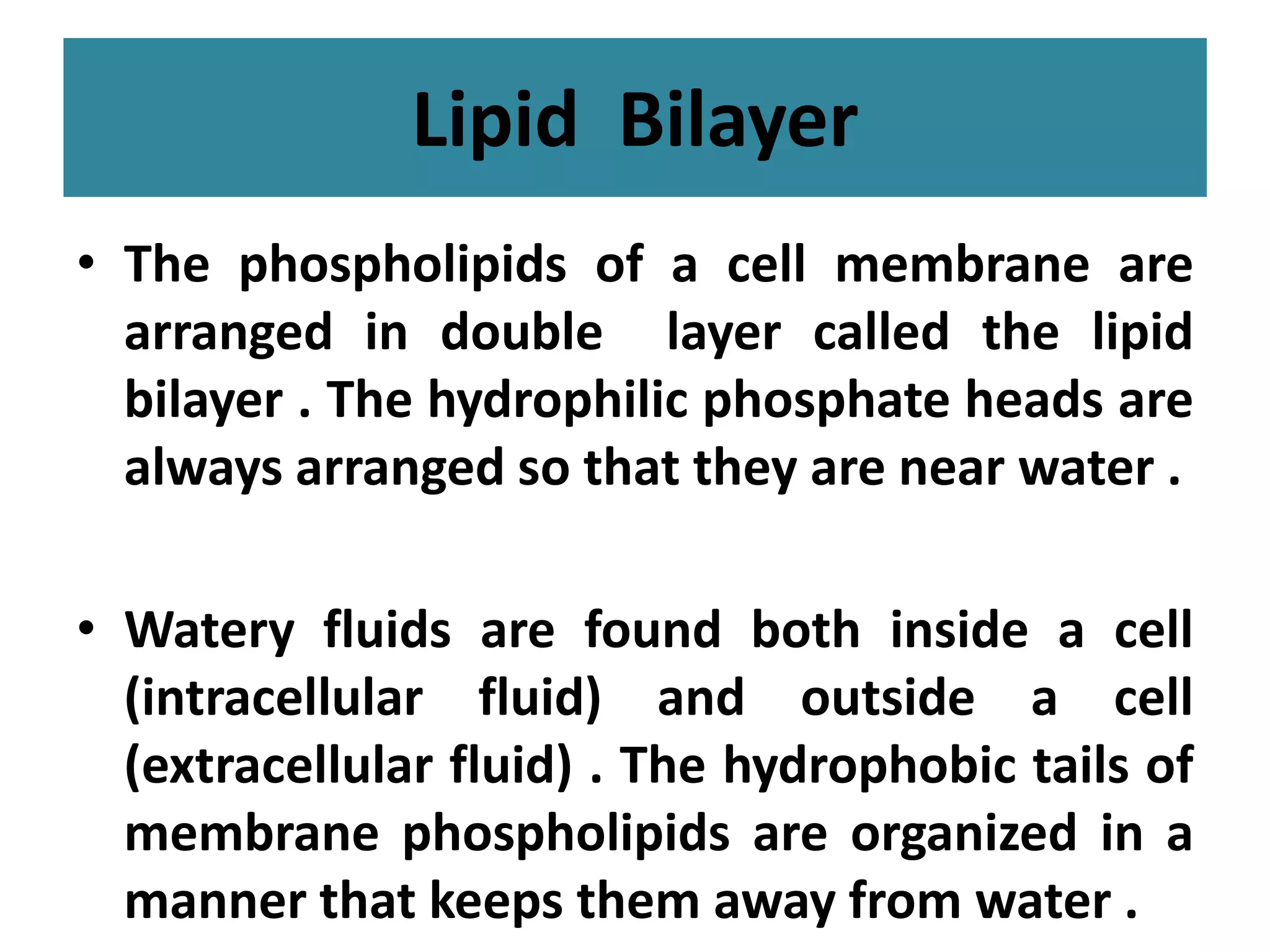 Electrical properties and function of membrane ,lipid bilayer and ...