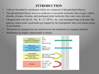 Electrical properties of cell membrane.pptx