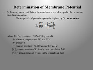 Electrical properties of cell membrane.pptx