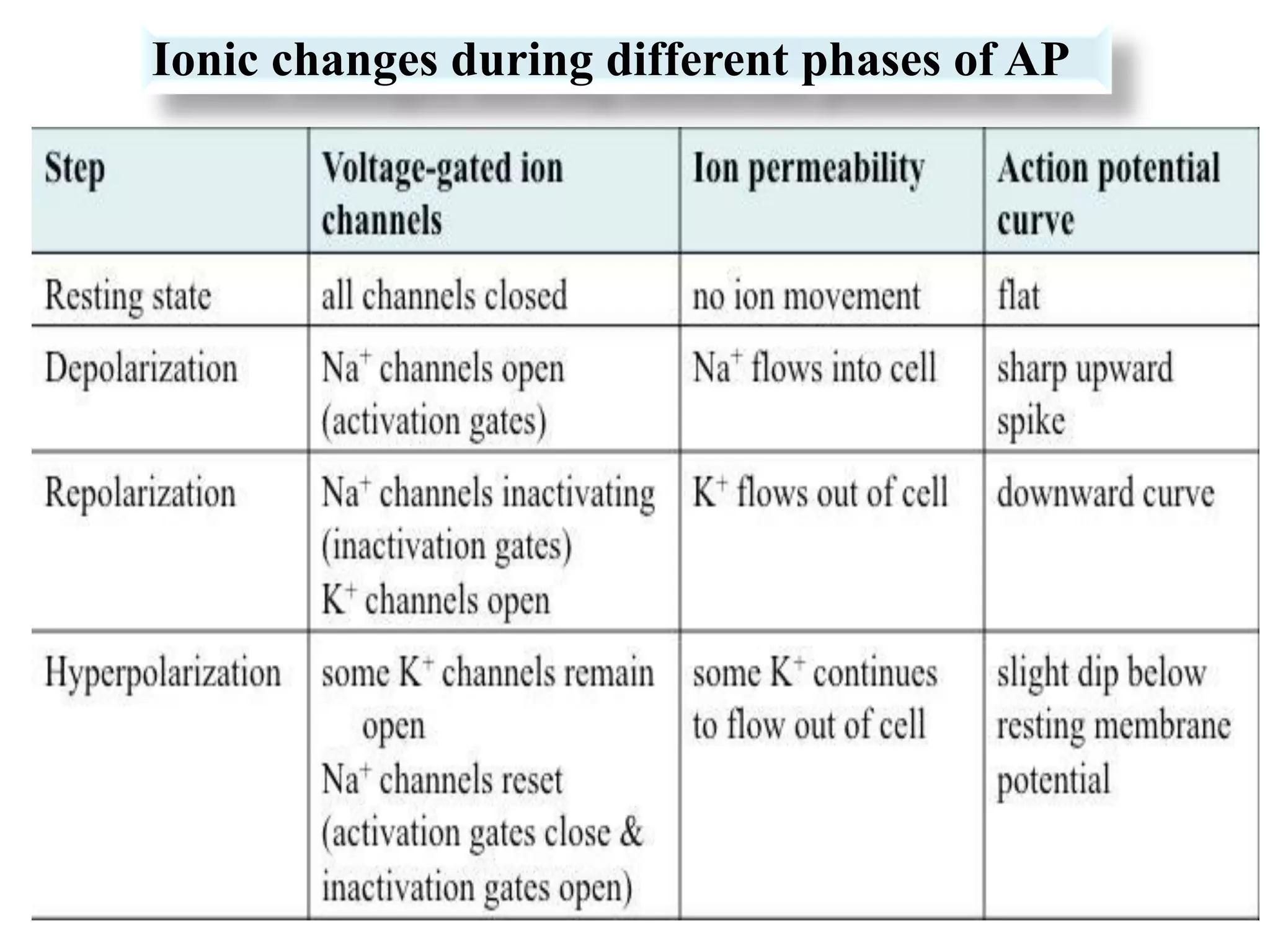 Electrical properties of cell membrane iii 2020 | PDF