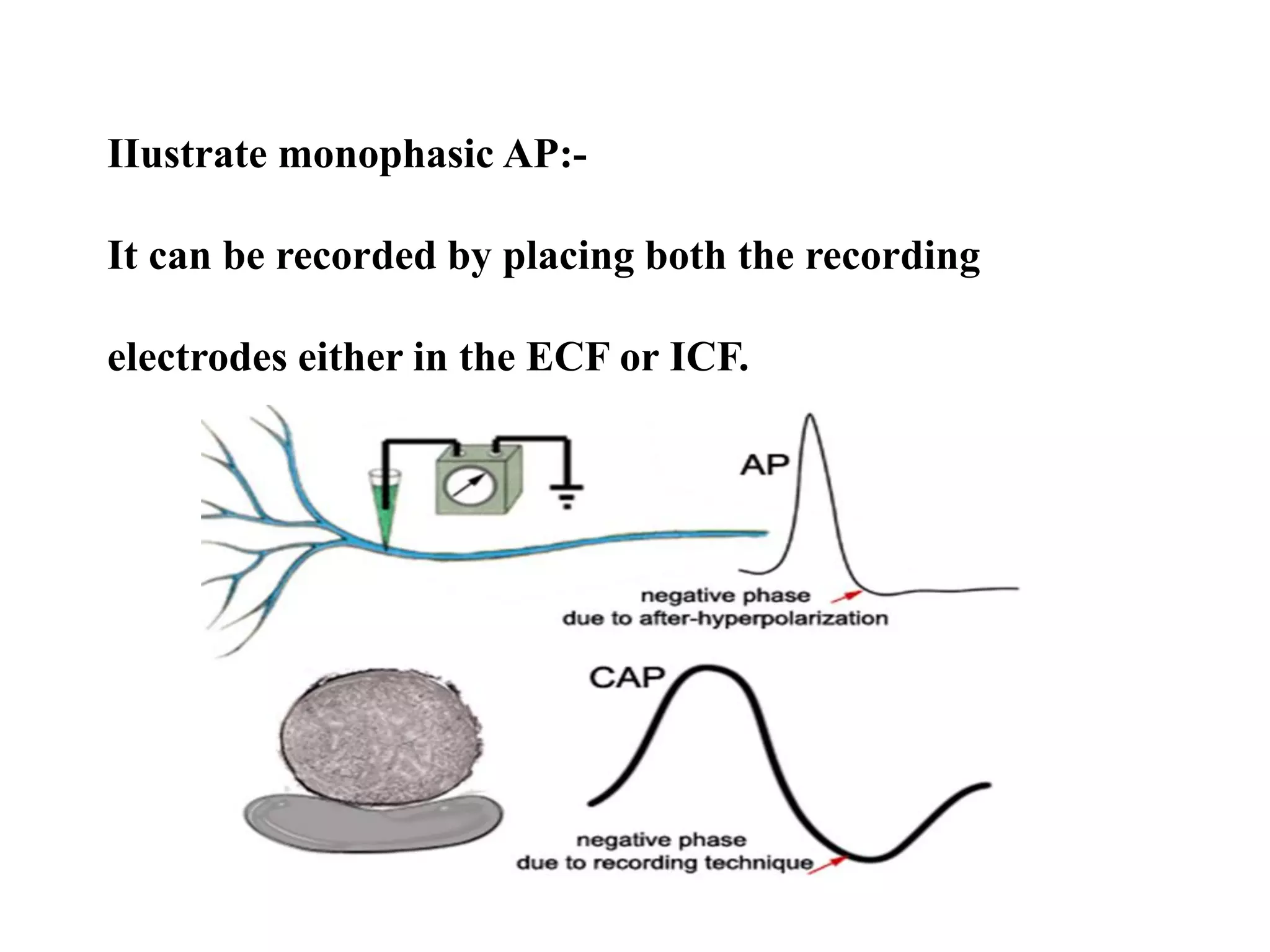 Electrical properties of cell membrane iii 2020 | PDF