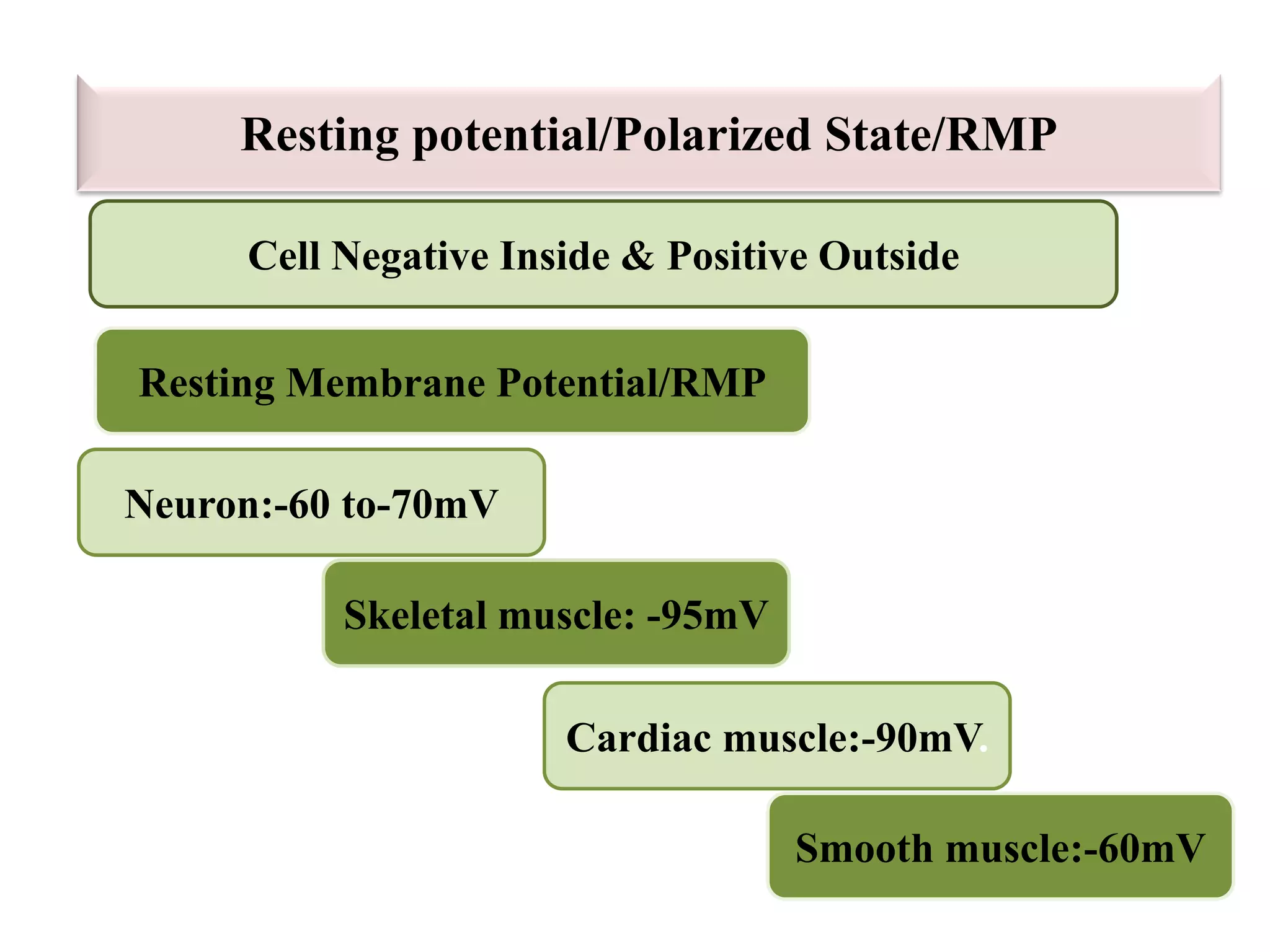 Electrical properties of cell membrane iii 2020 | PDF