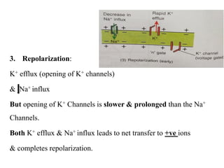 Electrical properties of cell membrane iii 2020 | PDF