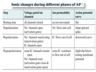 Electrical properties of cell membrane iii 2020 | PDF