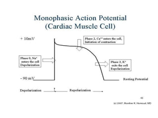 Electrical properties of cell membrane iii 2020 | PDF