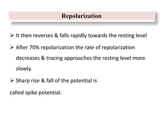 Electrical properties of cell membrane iii 2020 | PDF