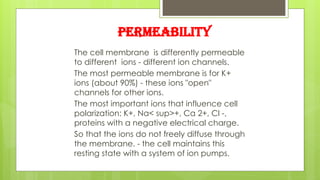 Electrical PROPERTIES OF TISSUES in physiotherapy.pptx