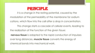 Electrical PROPERTIES OF TISSUES in physiotherapy.pptx