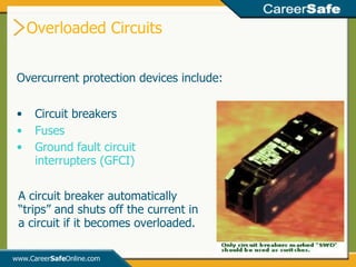 Electrical Safety | PDF