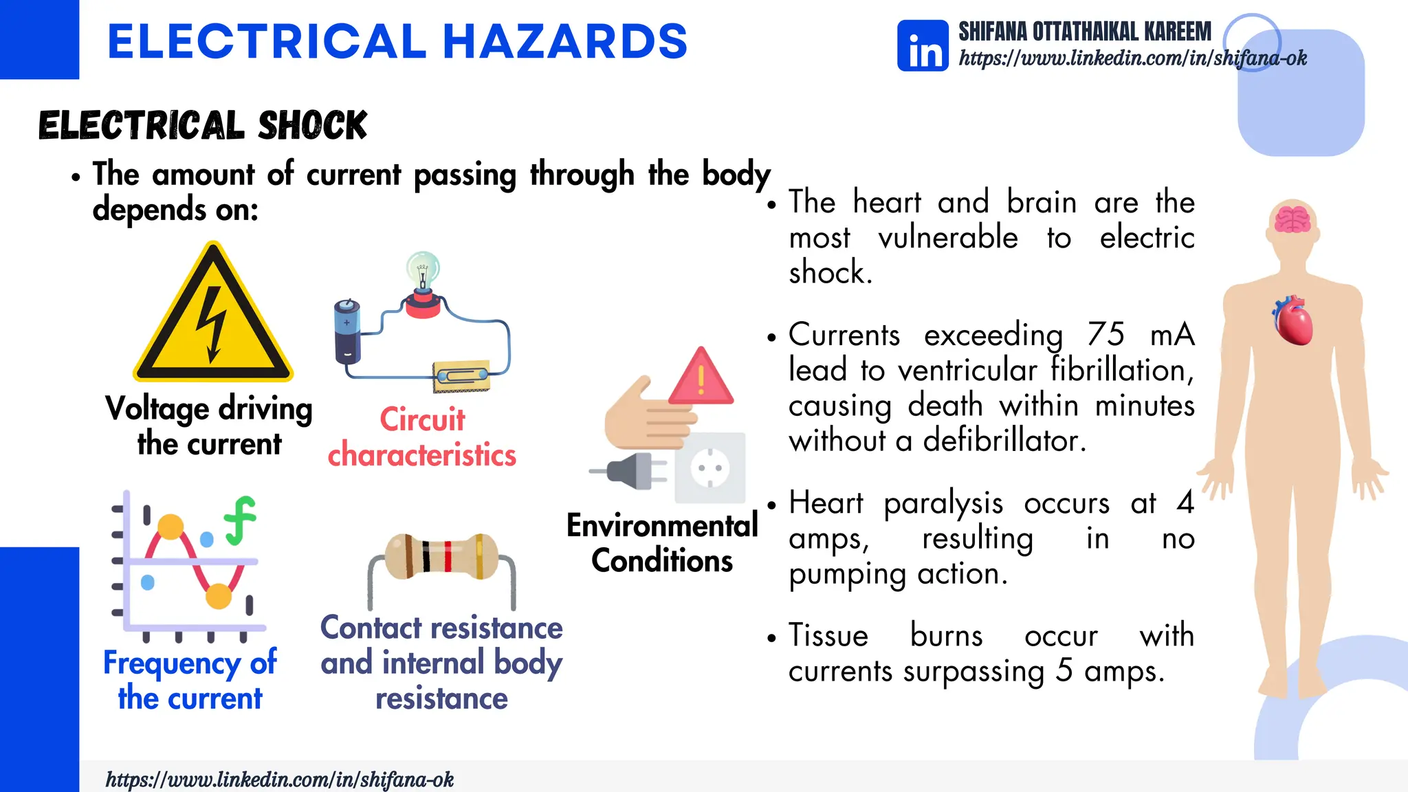 Electrical_Safety_1711951651ruehdnejdjrjdjeke | PDF