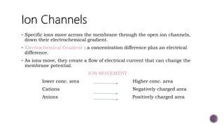 Electrical signals in muscles | PPTX