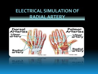 Electrical simulation of radial artery using comsol.....presentation | PPTX
