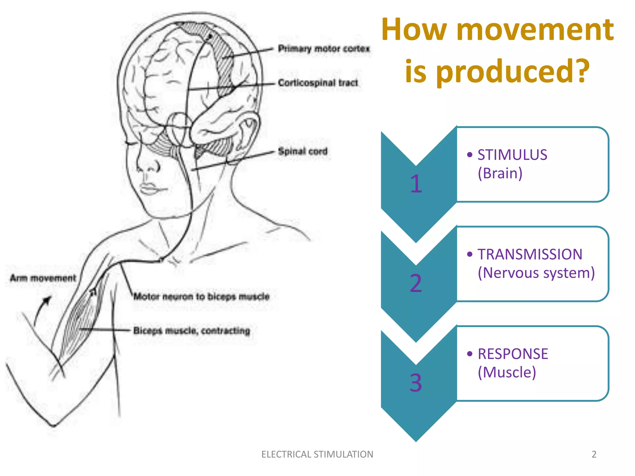 Electrical stimulation | PPTX