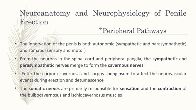 Electrical stimulation for erectile dysfunction | PPT | Sexual Conditions | Sexual Health